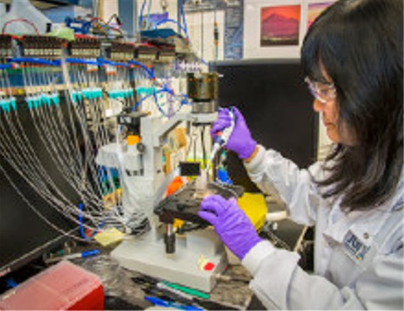 Integrated Microbial Genomes and Microbiomes workshop | Genomic Science ...