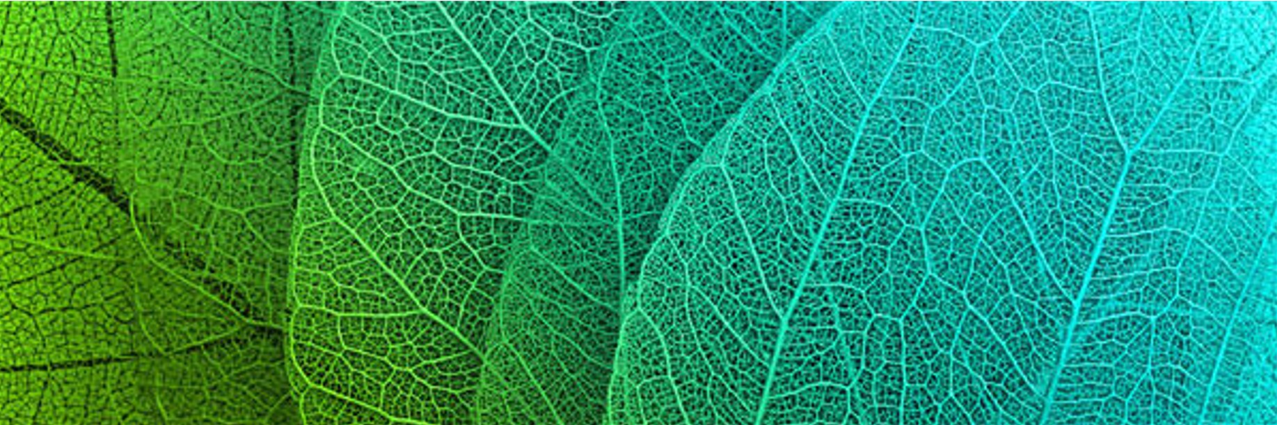 FUNDING: Early Career Research Program | Genomic Science Program