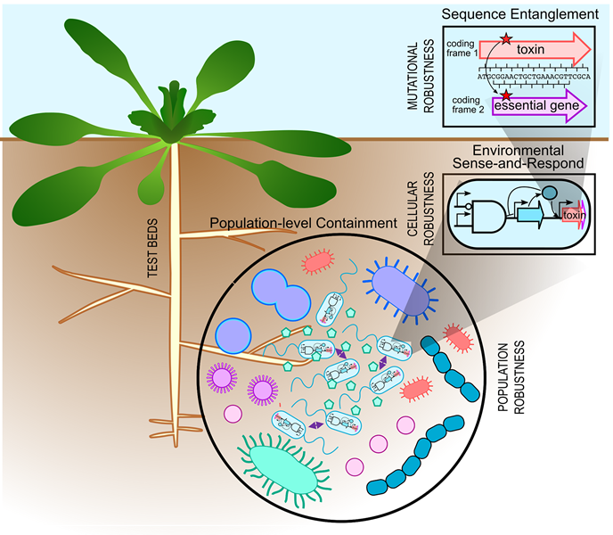 From Sequence to Cell to Population: Secure and Robust Biosystems ...
