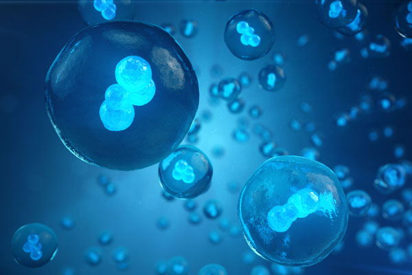 FUNDING: DOE SCGSR Program 2025 Solicitation 1 Cycle | Genomic Science ...