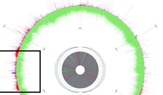 Science Focus Areas | Genomic Science Program