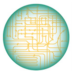 Systems Biology for Energy and the Environment | Genomic Science Program