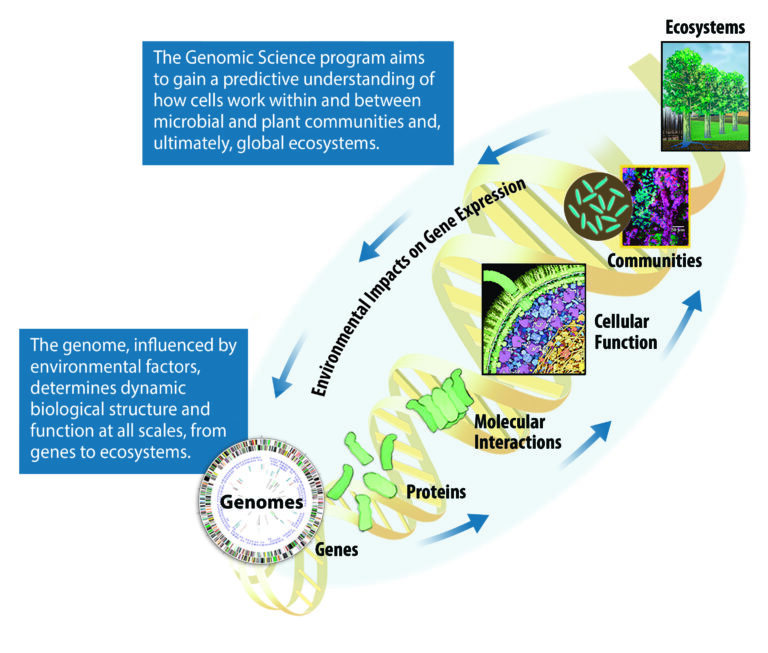 Research Approach | Genomic Science Program