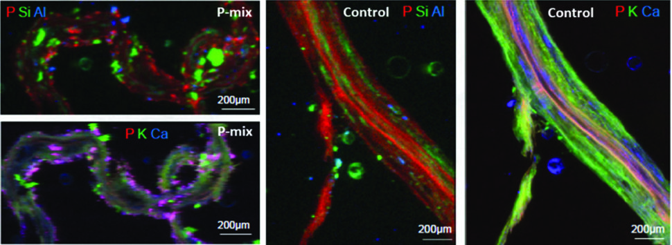 Biomolecular Characterization and Imaging Science | Genomic Science Program