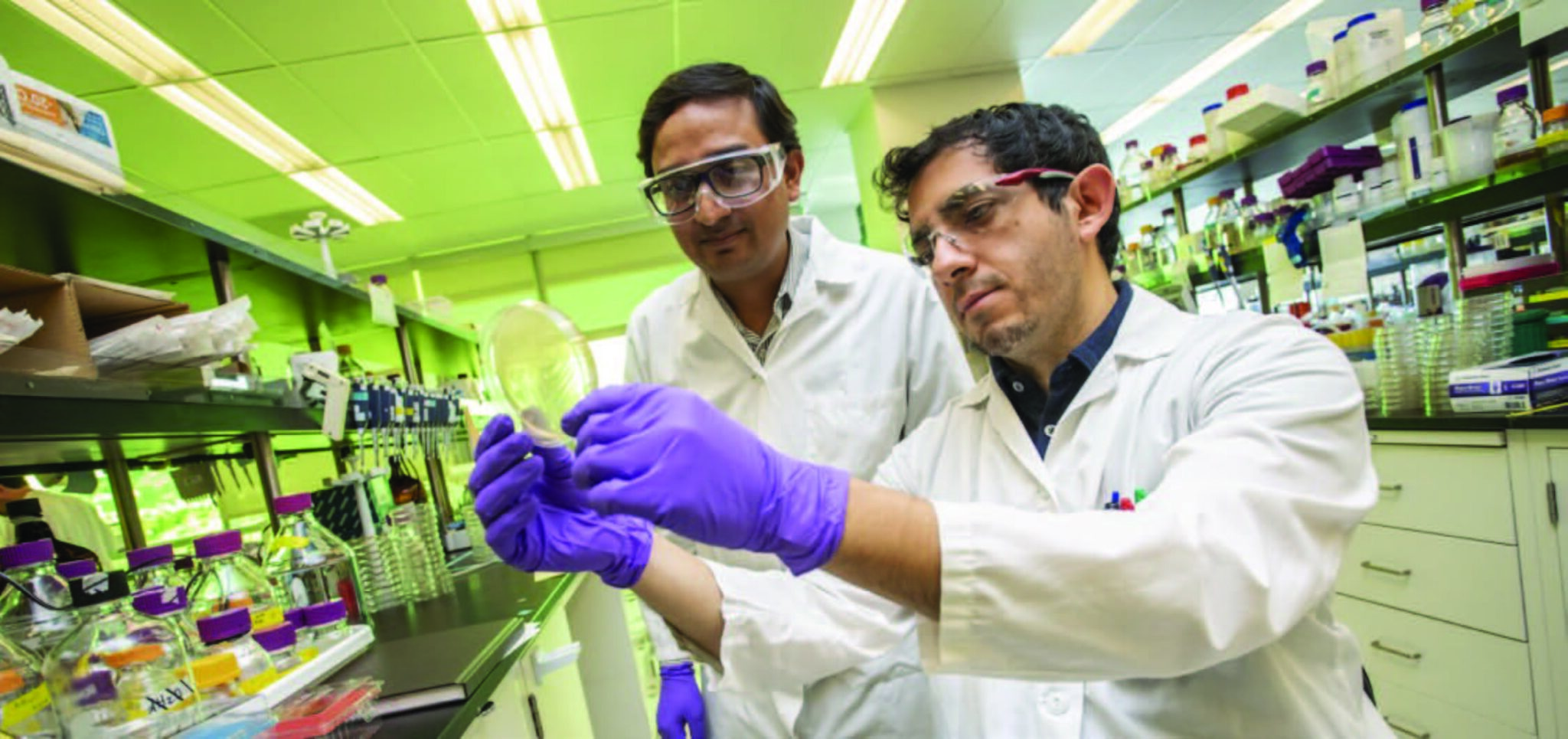 JBEI: Joint BioEnergy Institute | Genomic Science Program