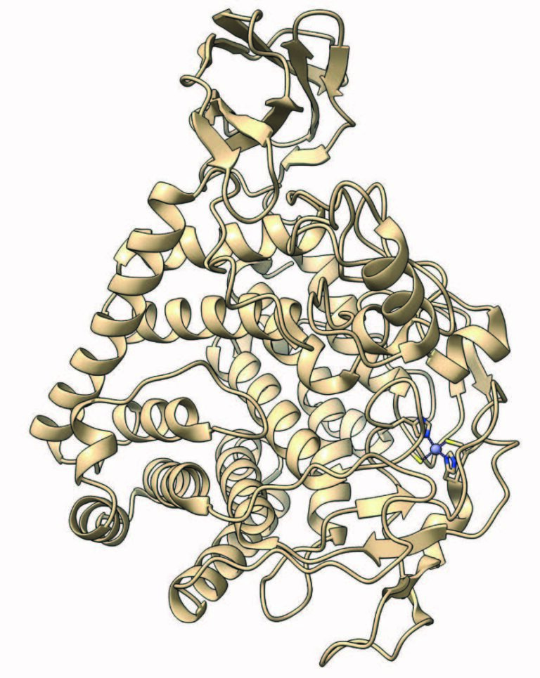 JBEI: Joint BioEnergy Institute | Genomic Science Program