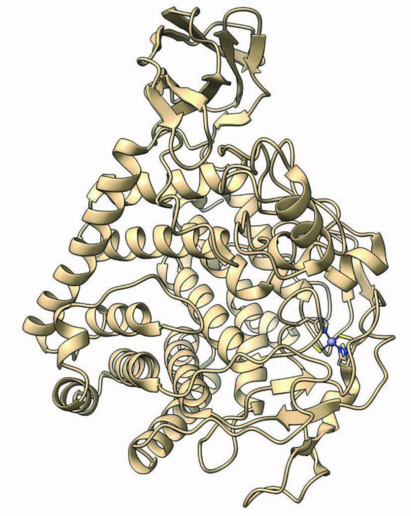 JBEI: Joint BioEnergy Institute | Genomic Science Program