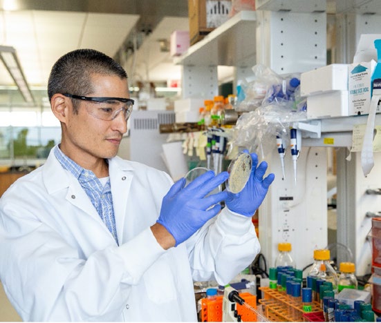 GLBRC: Great Lakes Bioenergy Research Center | Genomic Science Program