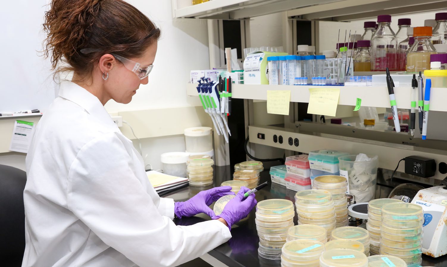 CBI: Center for Bioenergy Innovation | Genomic Science Program