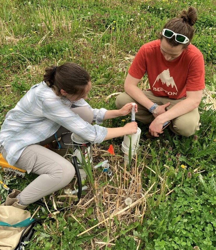CABBI: Center for Advanced Bioenergy and Bioproducts Innovation ...