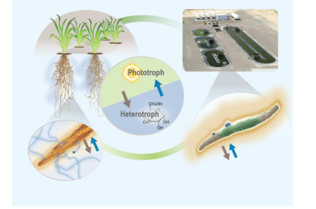 µBiospheres: Community Systems Biology of Microscale Interactions for ...